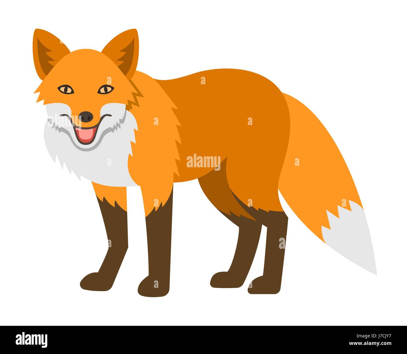 Renard roux adulte Banque d'images vectorielles - Alamy