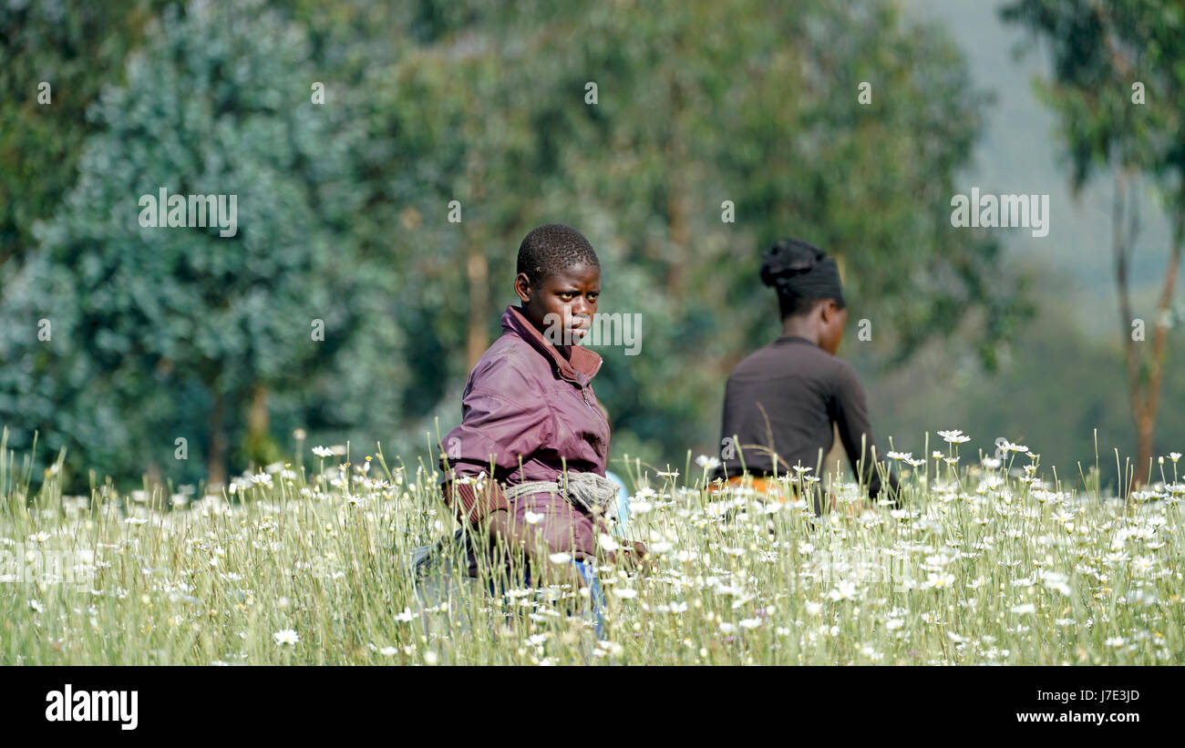 Rwanda rwandan women Banque de photographies et d’images à haute ...