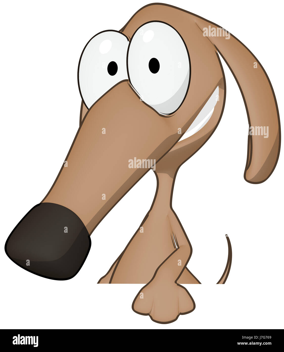 Animaux Animaux Animaux Animaux brunette brunâtre marron chien chiens ...