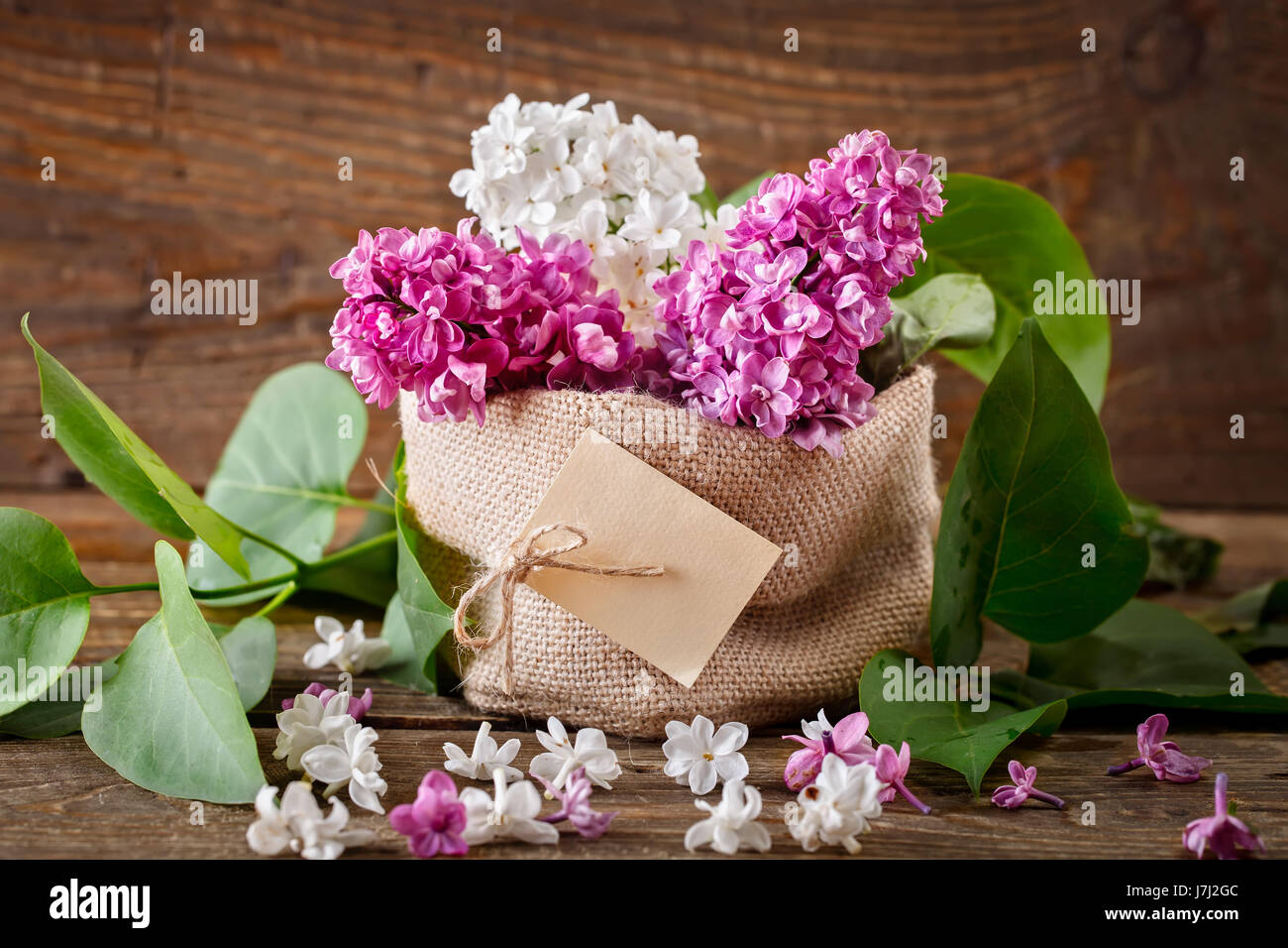Branches de lilas sont dans le panier de la toile de jute sur l'arrière ...