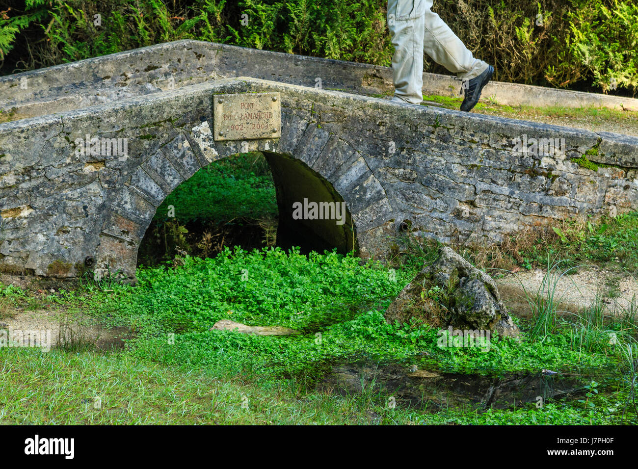 France, Côte d'Or, Source-Seine, site avec sources de Seine, Pont Paul ...