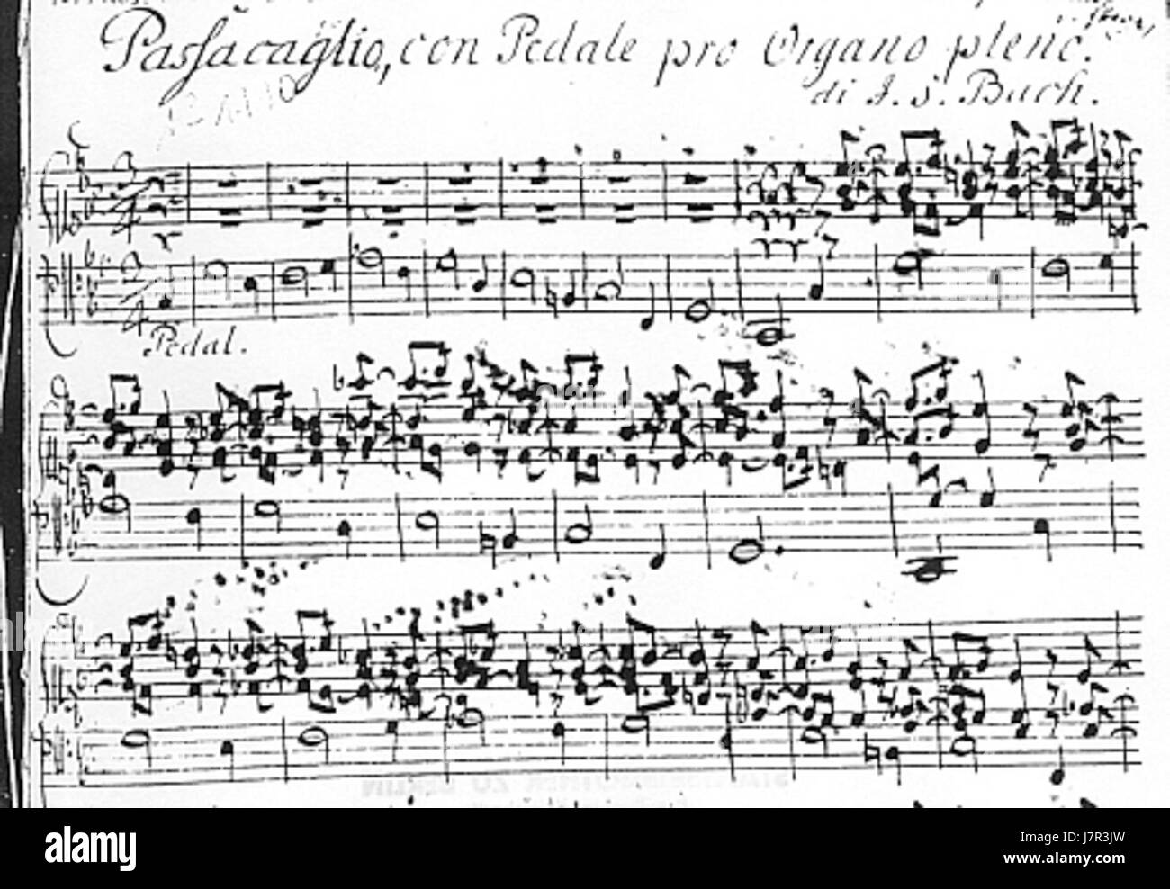 Cela fait probablement référence à un autographe d'une œuvre musicale ...