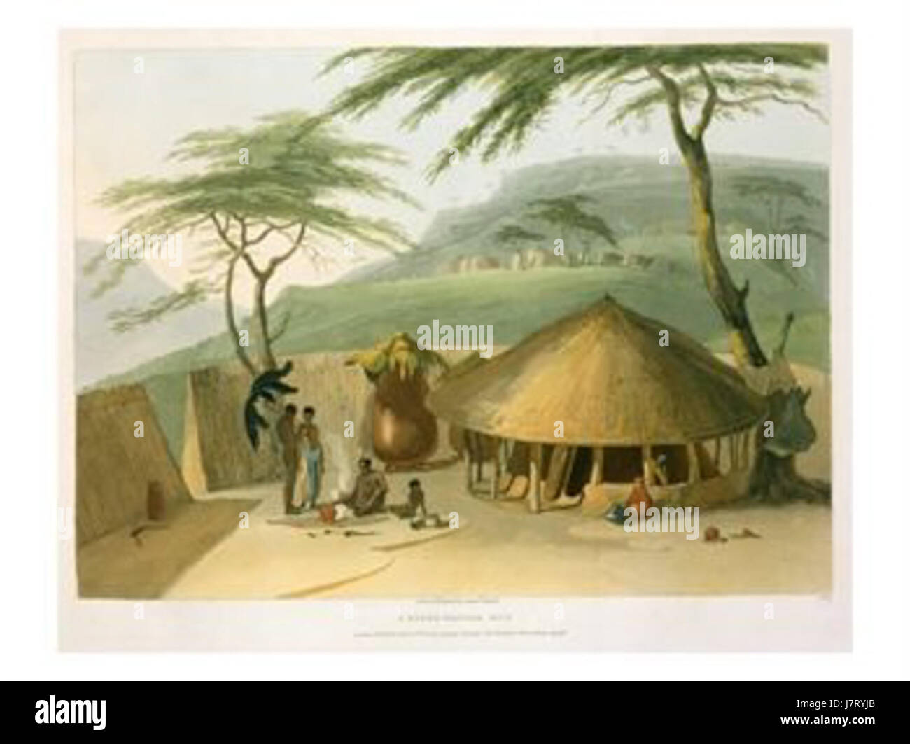 Le boosh Banque de photographies et d’images à haute résolution - Alamy