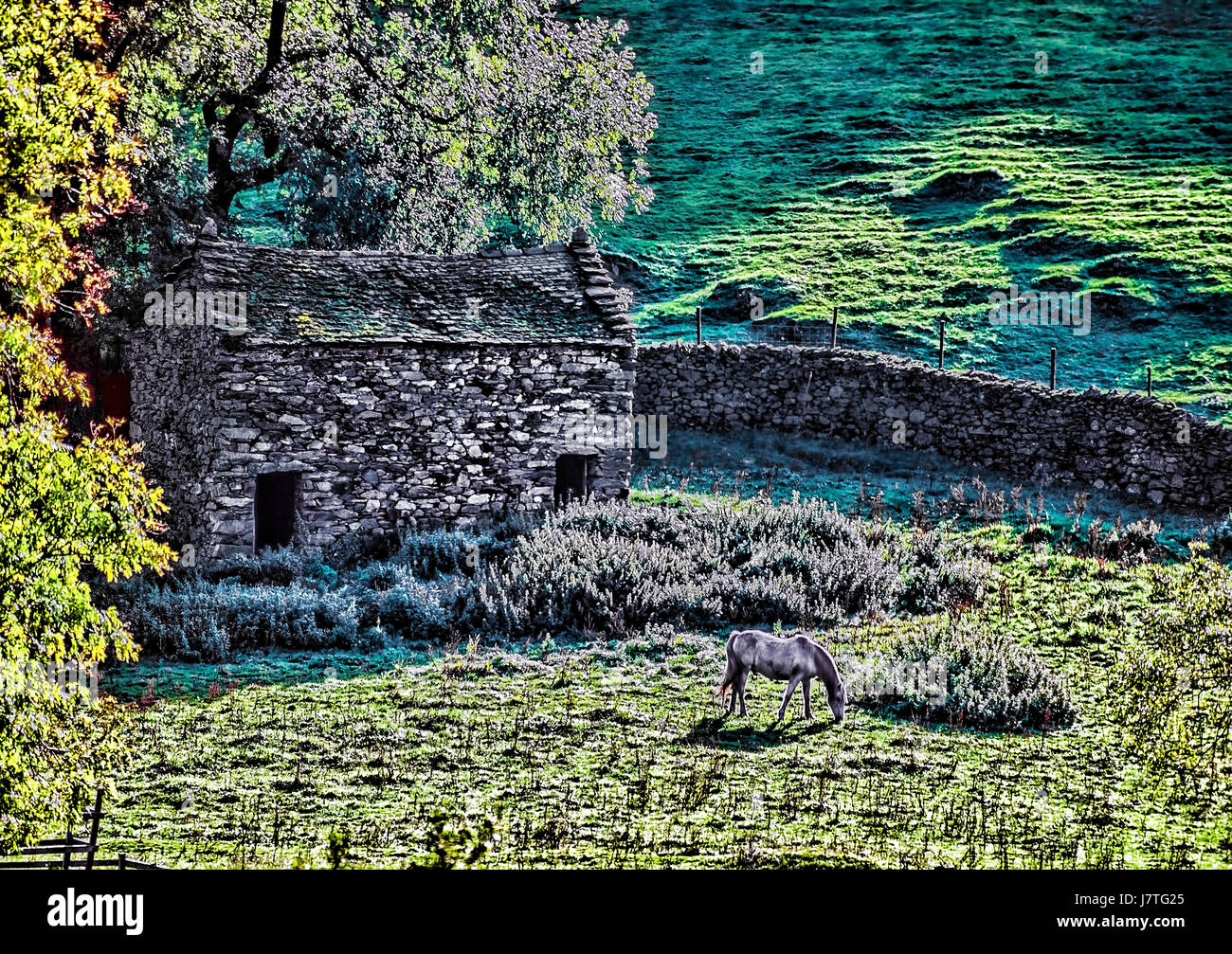 Art pictural Banque de photographies et d’images à haute résolution - Alamy