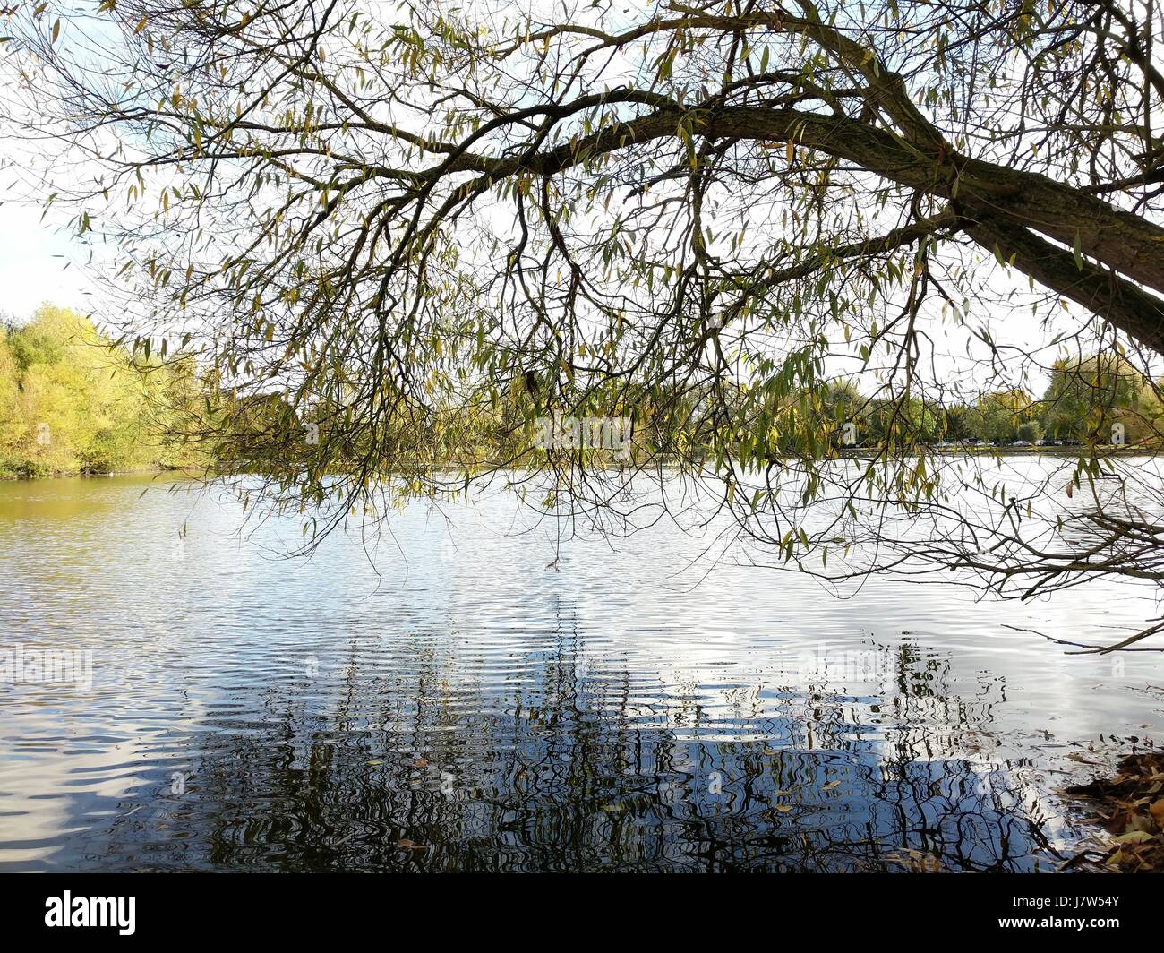 Needham lake Banque de photographies et d’images à haute résolution - Alamy