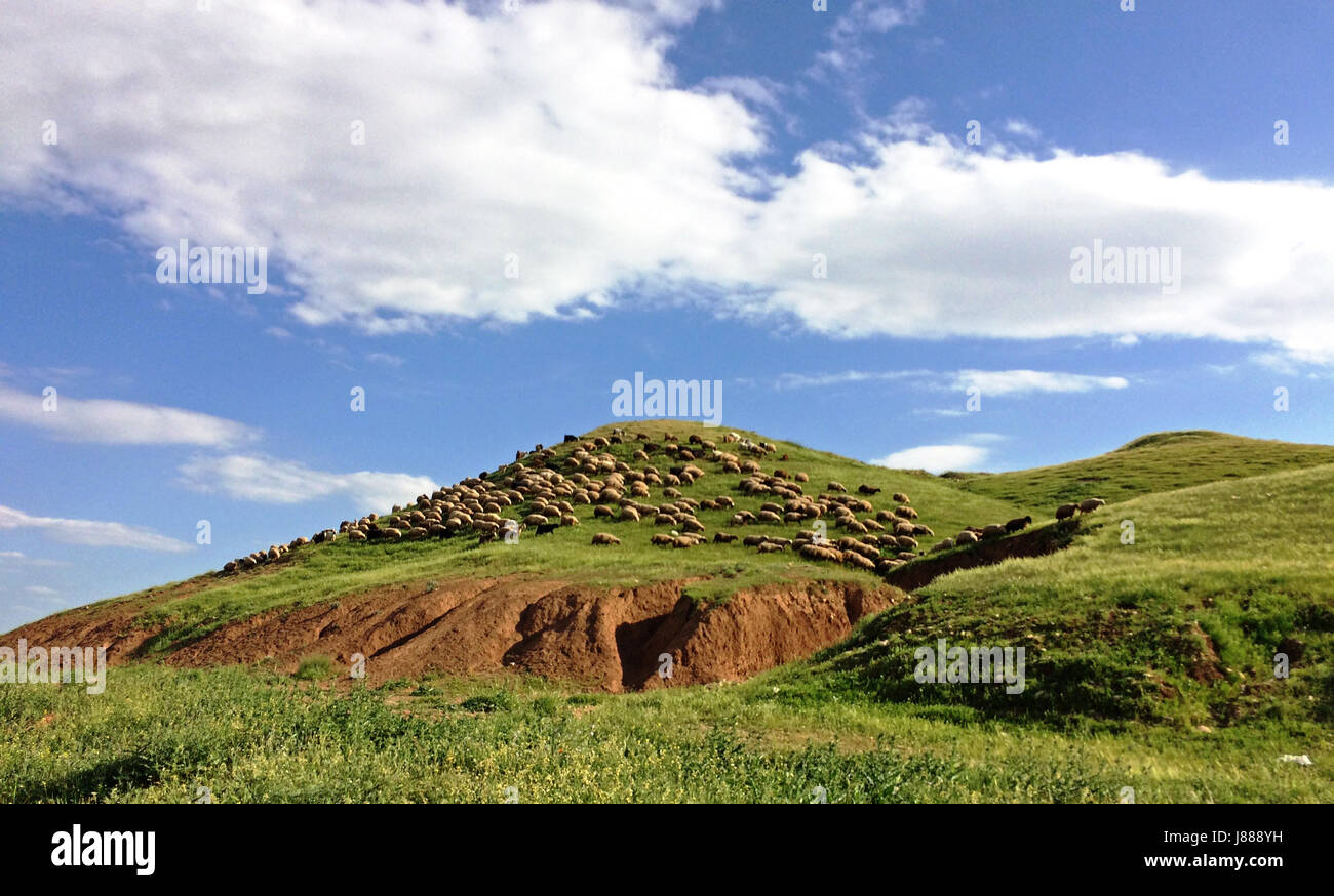 Irak paysage Banque de photographies et d’images à haute résolution - Alamy
