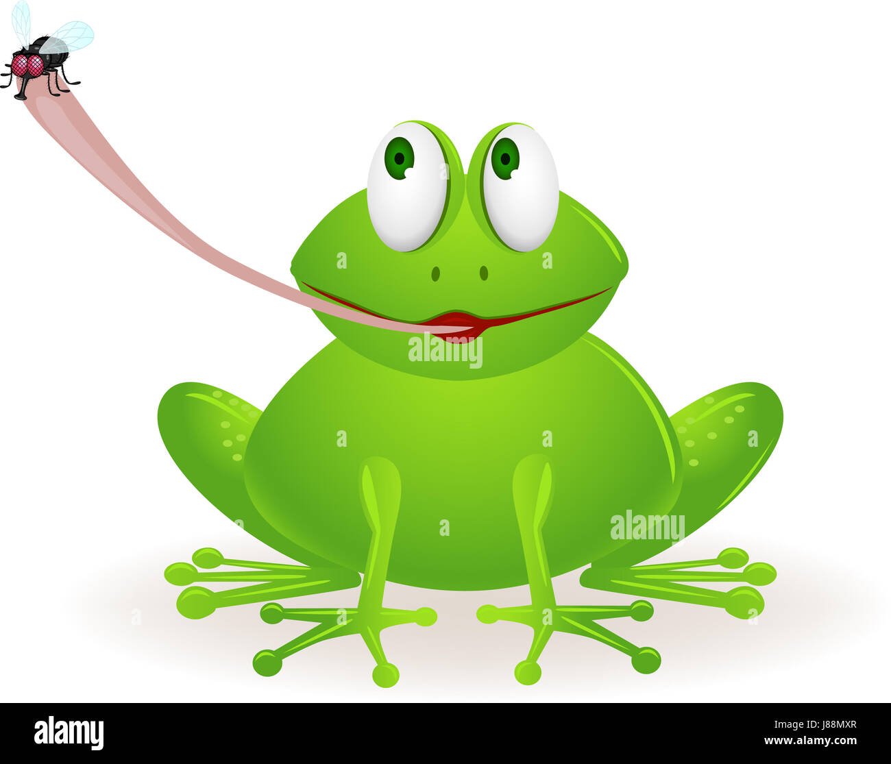 Animal, illustration, grenouille, crapaud, attraper, cartoon, manger ...