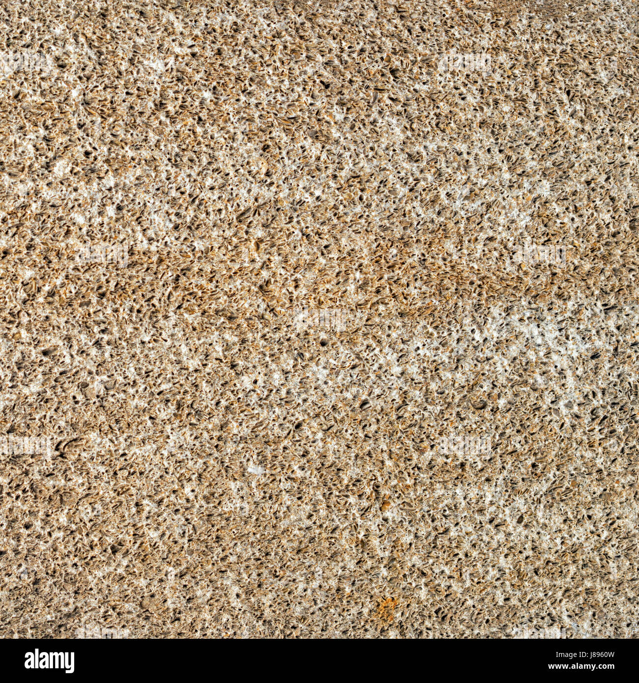 Pierre poreuse homogène de pierre ponce ou arménienne texture ...