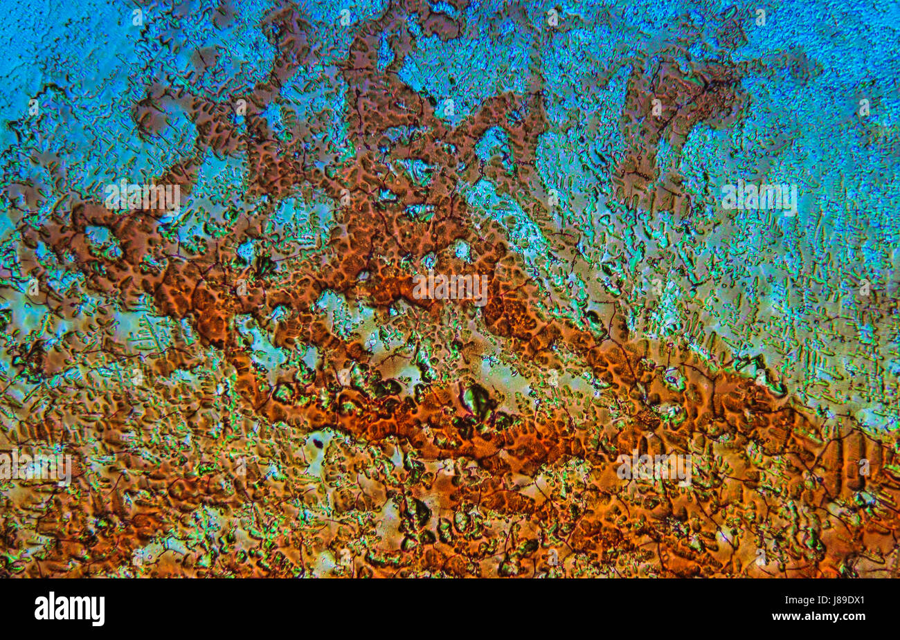 Structure minérale sous microscope. La texture, l'inorganique à l ...