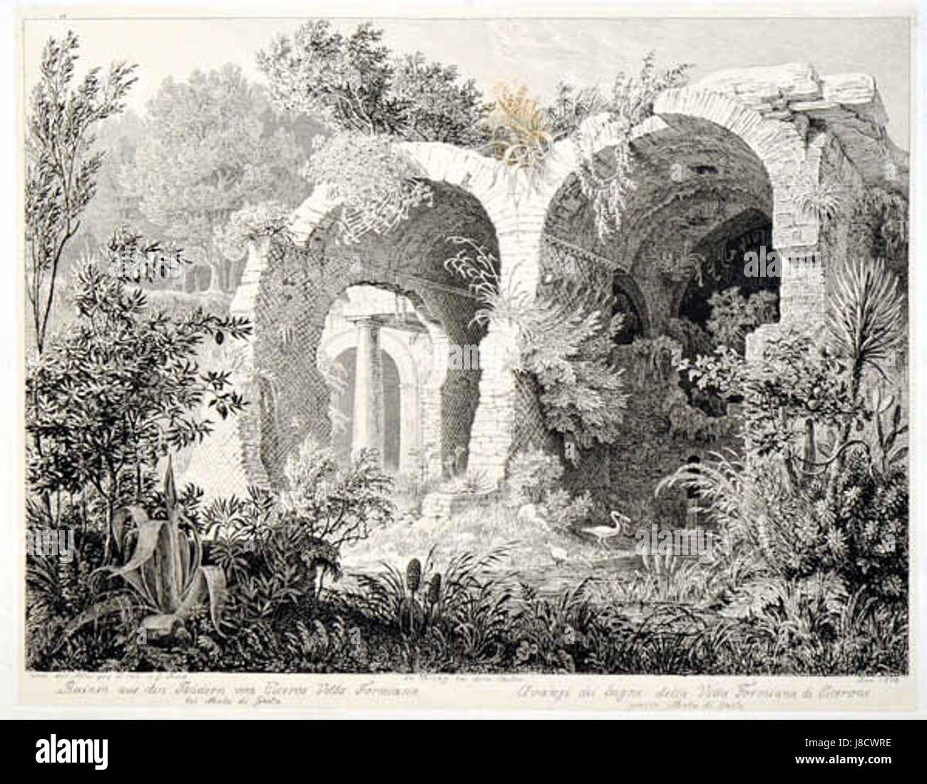 Georg heinrich busse Banque de photographies et d’images à haute ...