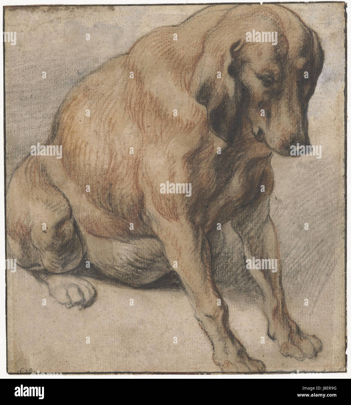 Jacob jordaens i Banque de photographies et d’images à haute résolution ...