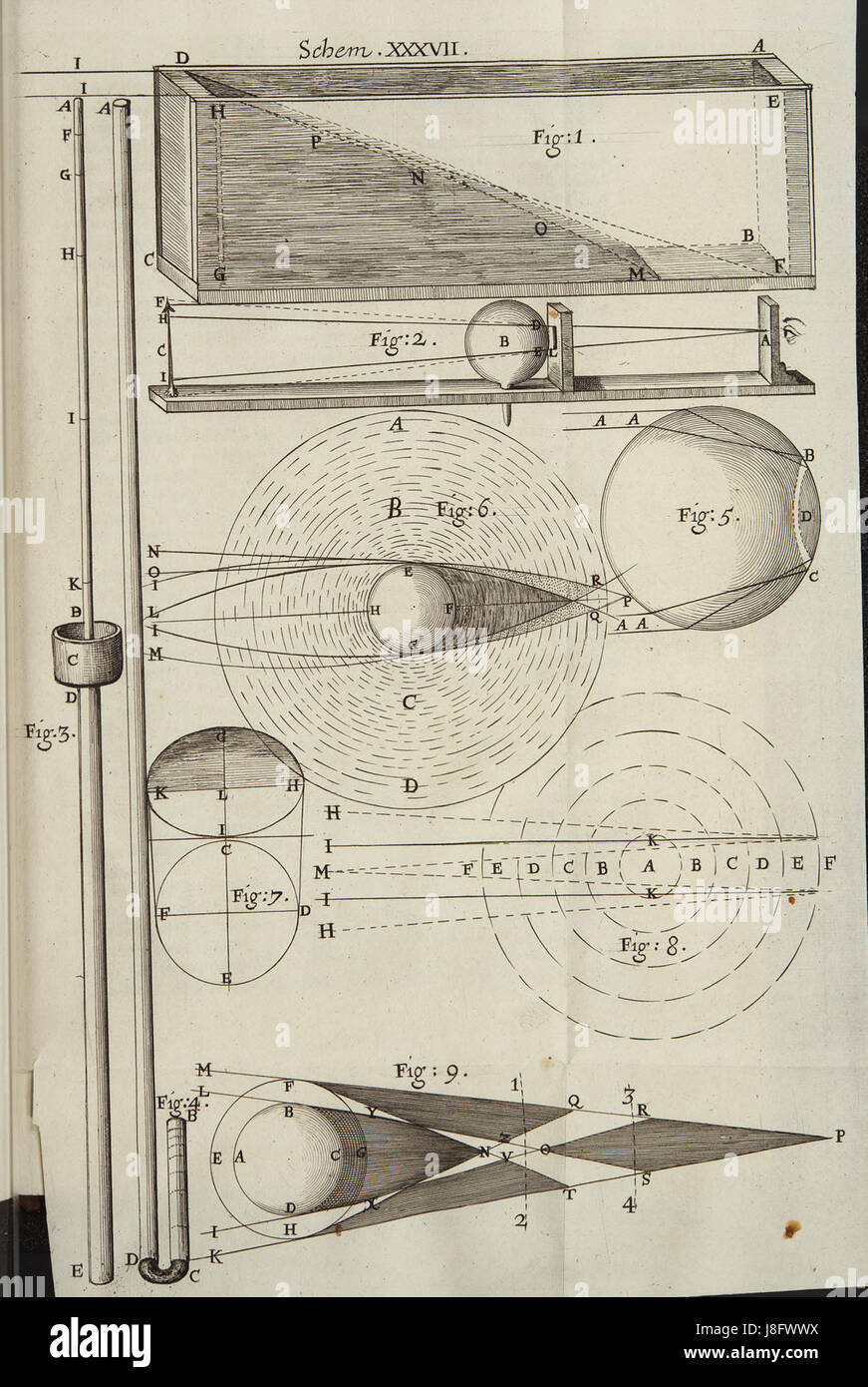 Micrographia Banque de photographies et d’images à haute résolution - Alamy