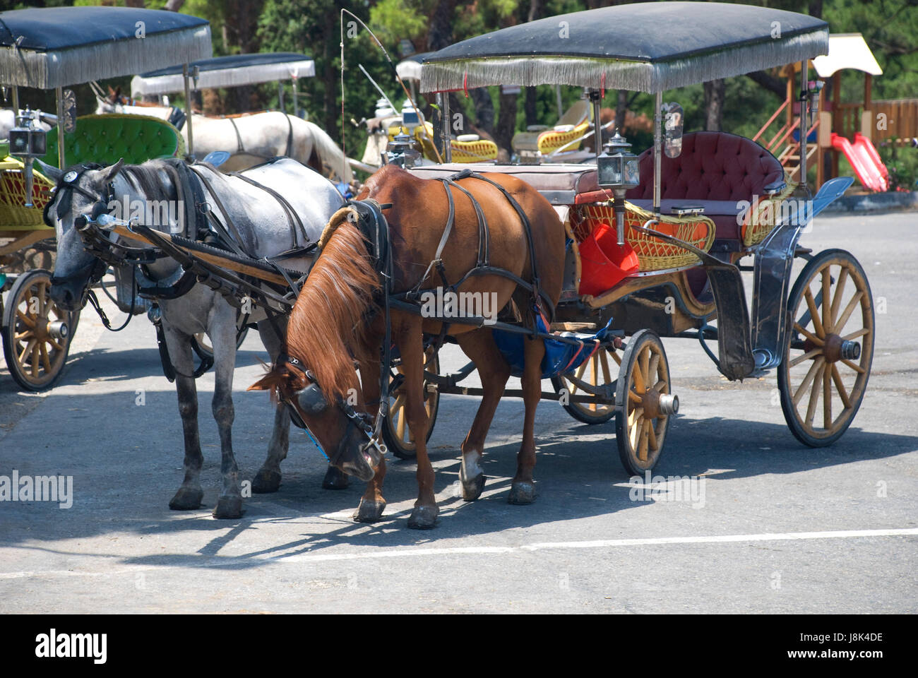 2 chevaux voiture Banque de photographies et d’images à haute ...