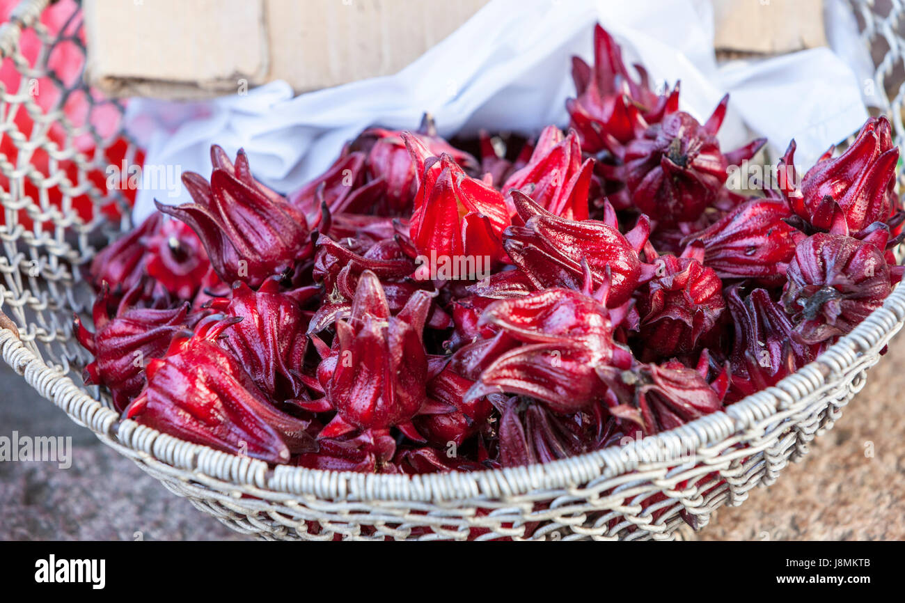 Bissap fruit Banque de photographies et d’images à haute résolution - Alamy