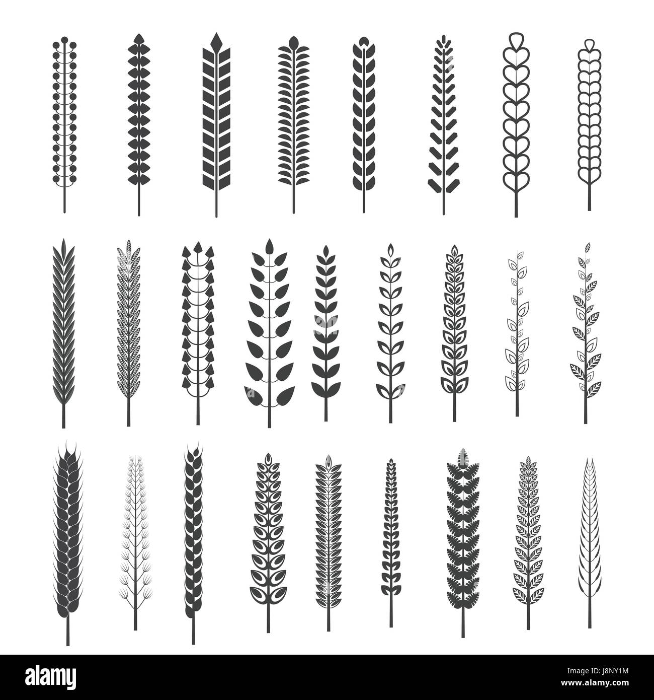 La couronne de laurier olivier Banque d'images noir et blanc - Alamy