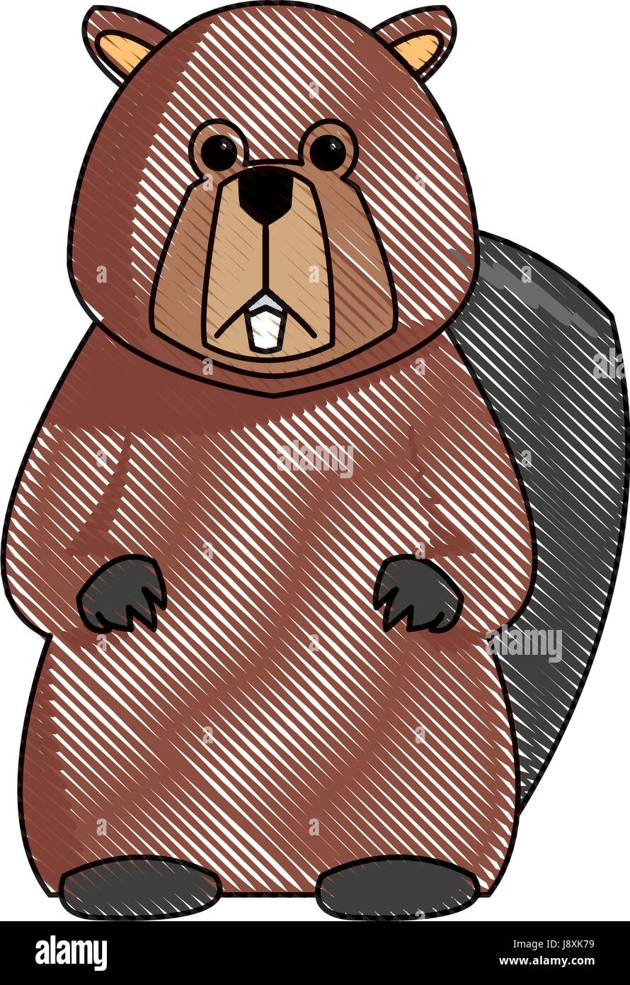 Dents De Castor Banque d'images vectorielles - Alamy