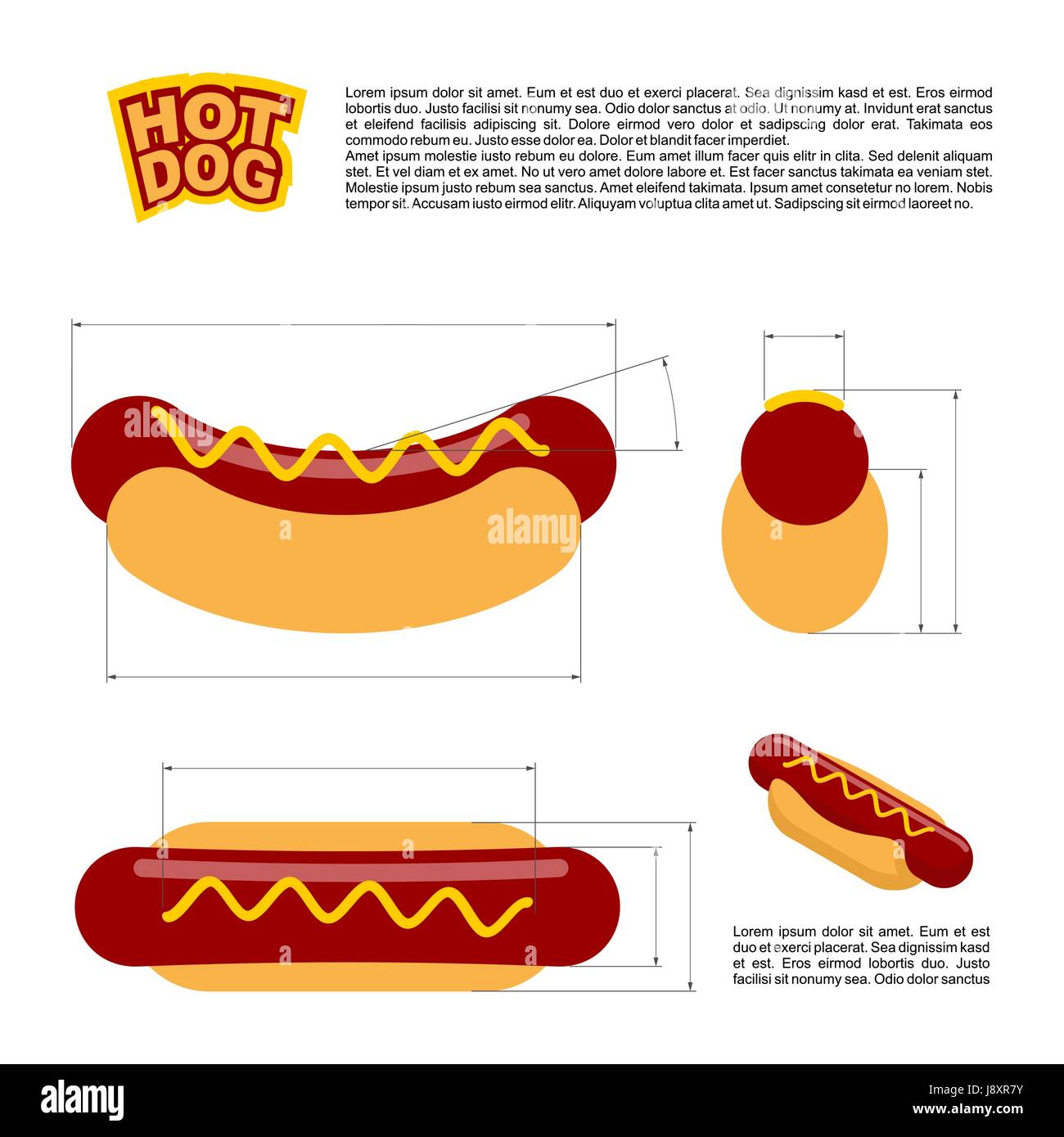Hot dog des infographies standard. Tailles de référence de la ...