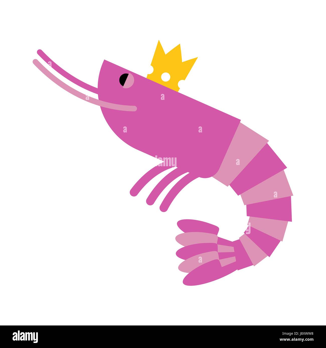 Crevette Royale Banque d'images vectorielles - Alamy