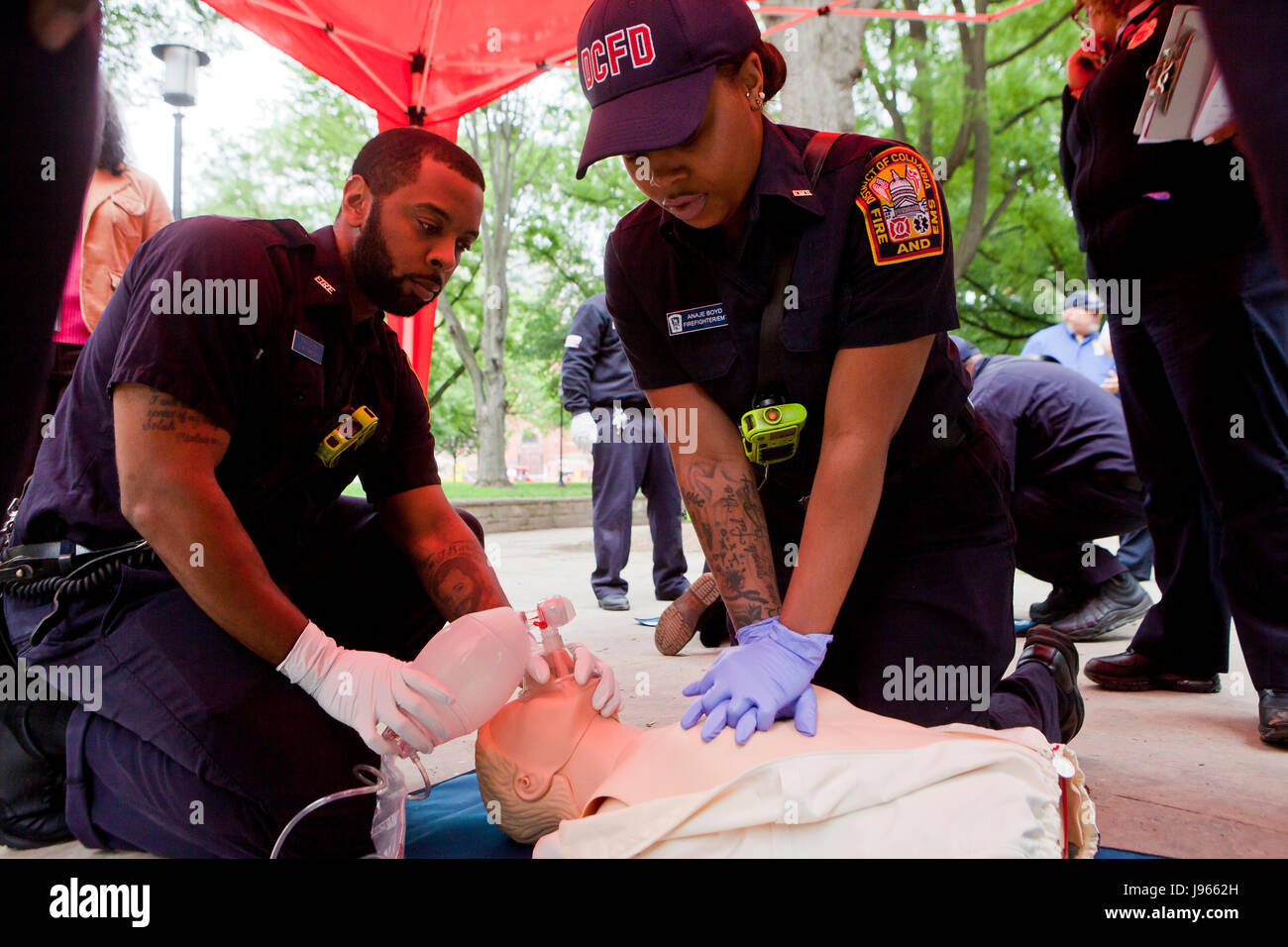 Formation ems Banque de photographies et d’images à haute résolution ...