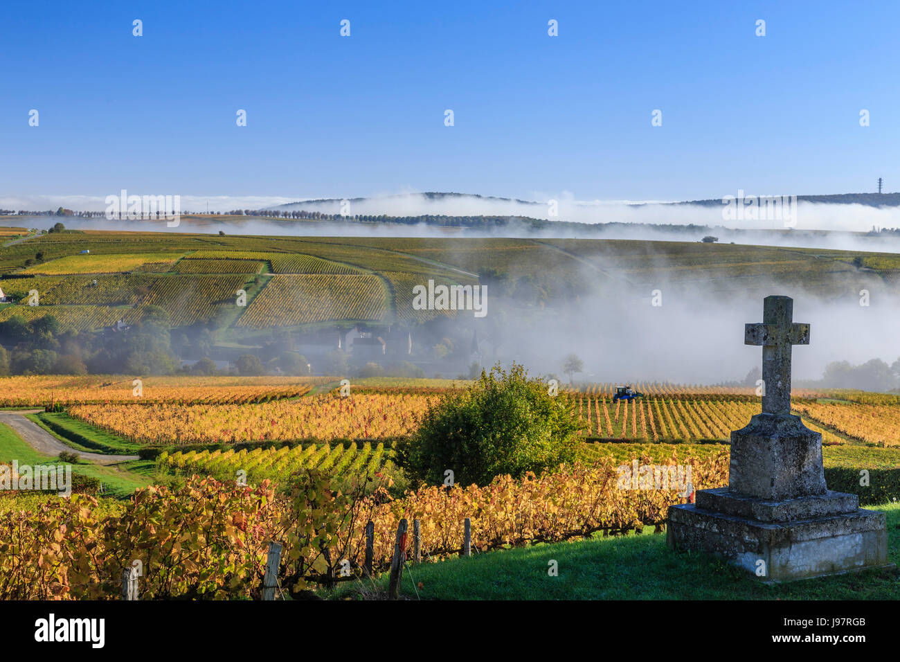 La France, Cher, le Sancerrois région, Bue et le vignoble en automne ...