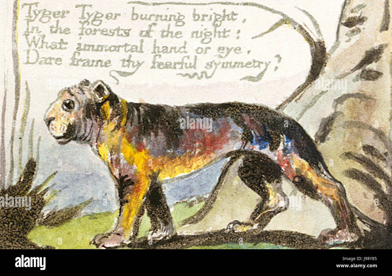 Tiger tiger poem william blake Banque de photographies et d’images à ...