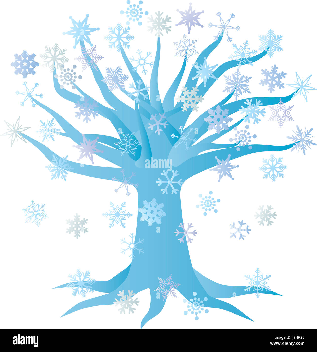 L'hiver, la neige, le coke, la cocaïne, le matériel, les médicaments ...