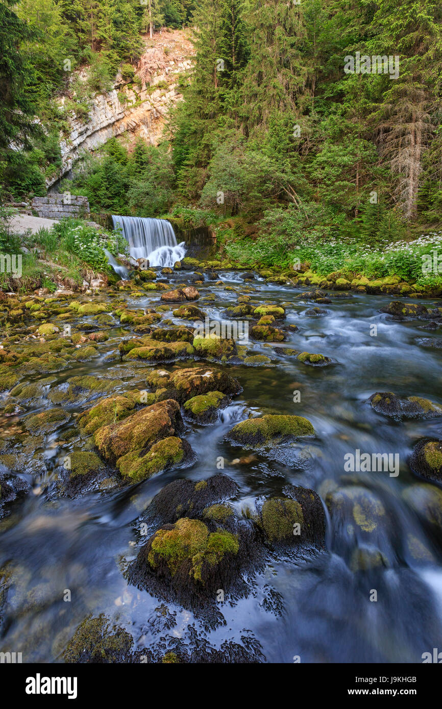 France, Doubs, Montagnes du Jura Parc Naturel Régional, Mouthe, la ...