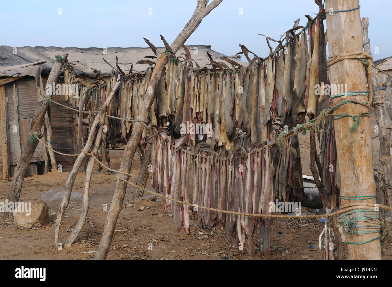 La Mauritanie, Nouadhibou, poissons,sec,salé,Afrique,l'Afrique de l ...
