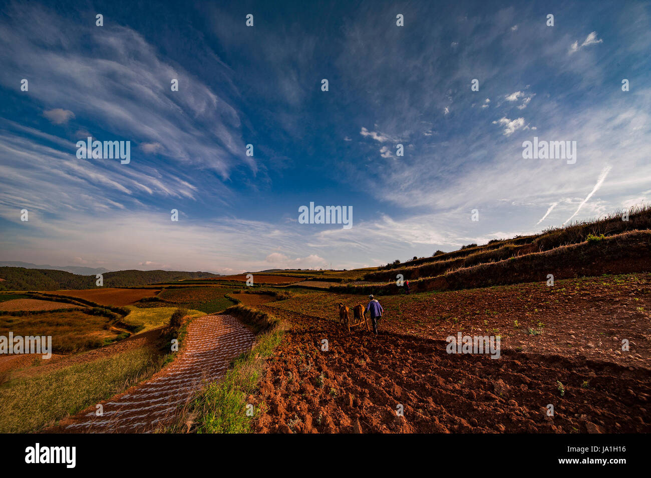Kunming, Chine. 04 Juin, 2017. Photo prise le 7 mai 2017, montre les ...