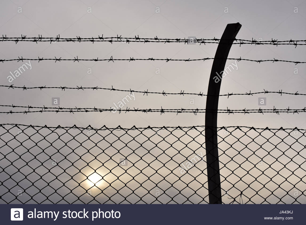 Barbed Wire Fence Banque d'image et photos - Alamy