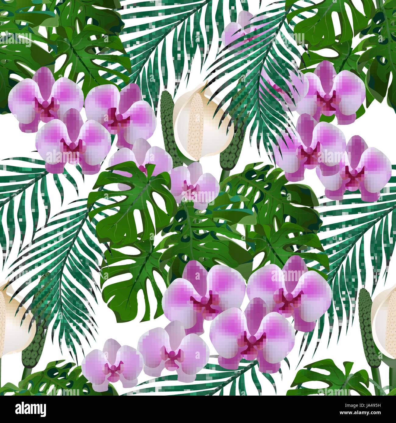 Orchids brazil Banque d'images vectorielles - Alamy