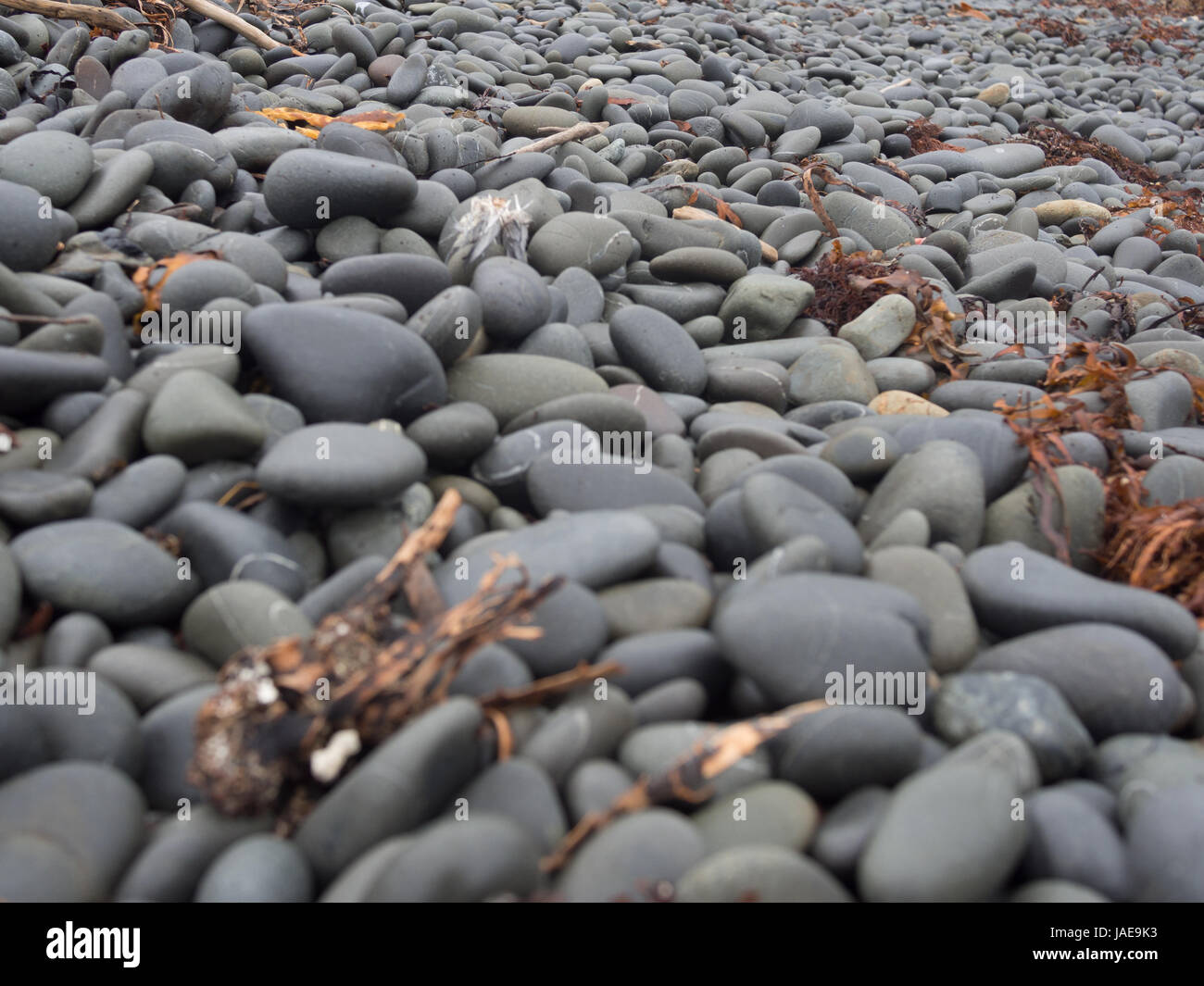 Gros plan de galets de plage Banque de photographies et d’images à ...