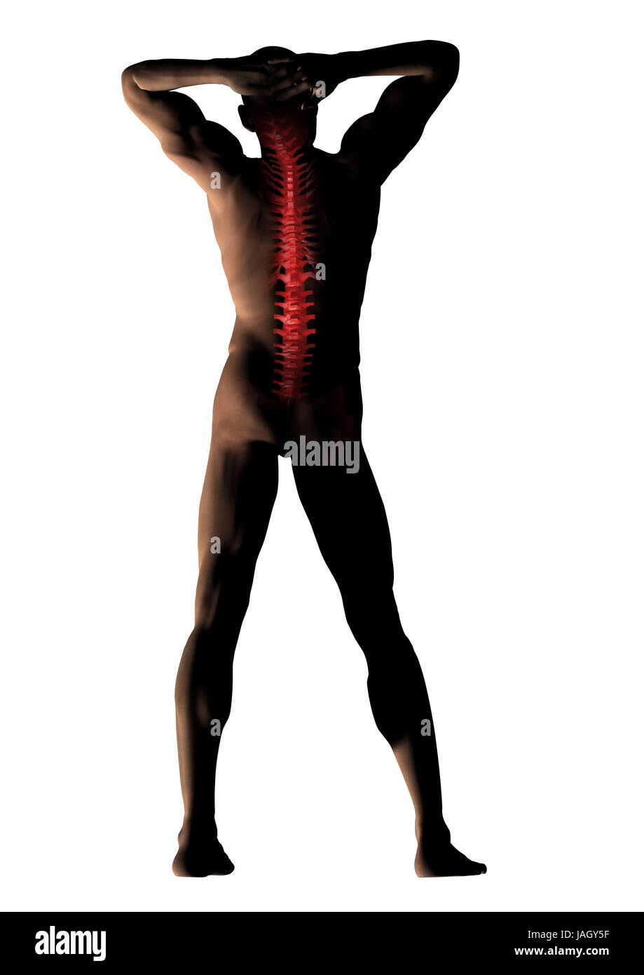 Courbure de la colonne vertébrale Banque de photographies et d’images à ...