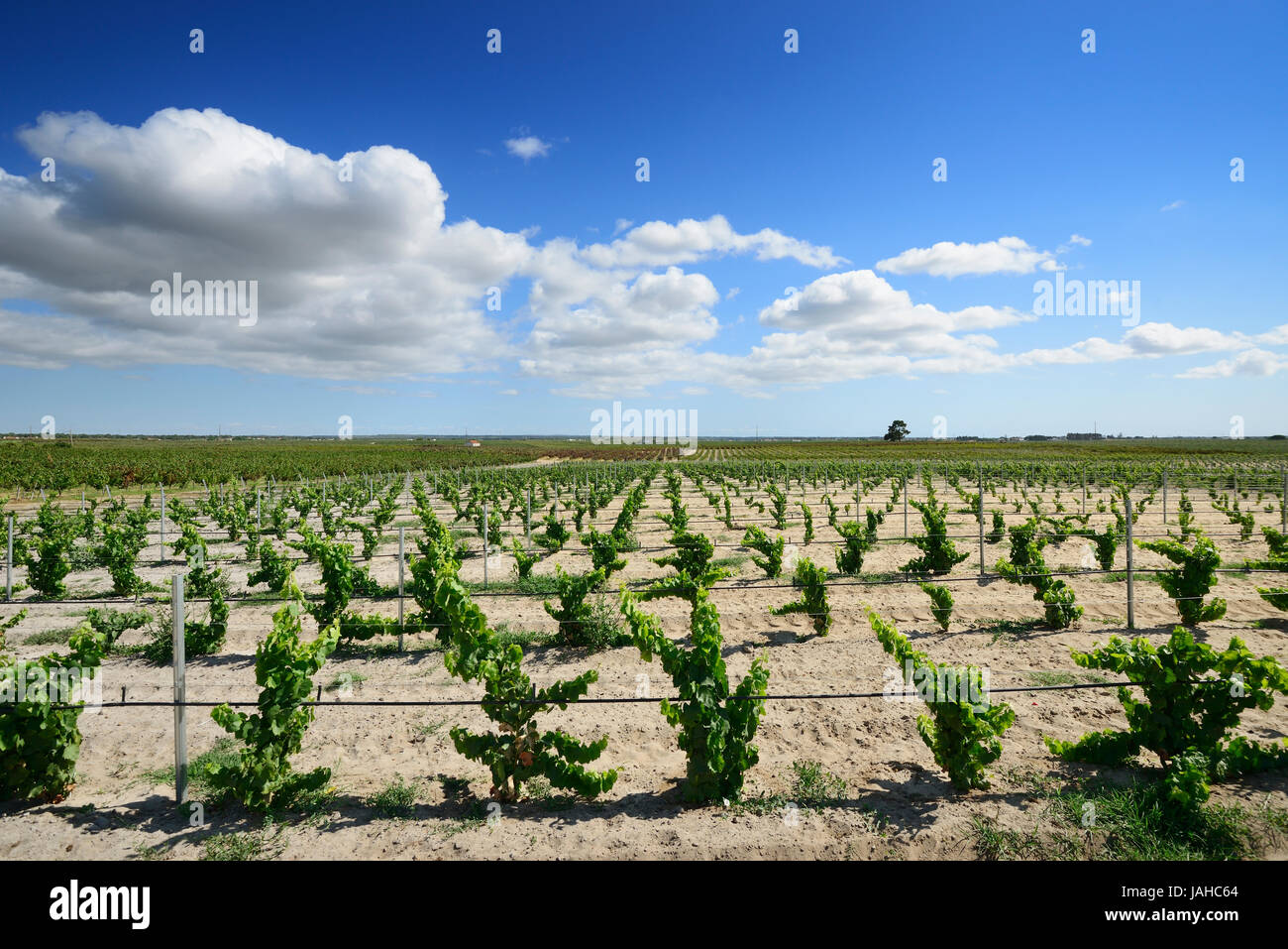 Fernando po Banque de photographies et d’images à haute résolution - Alamy