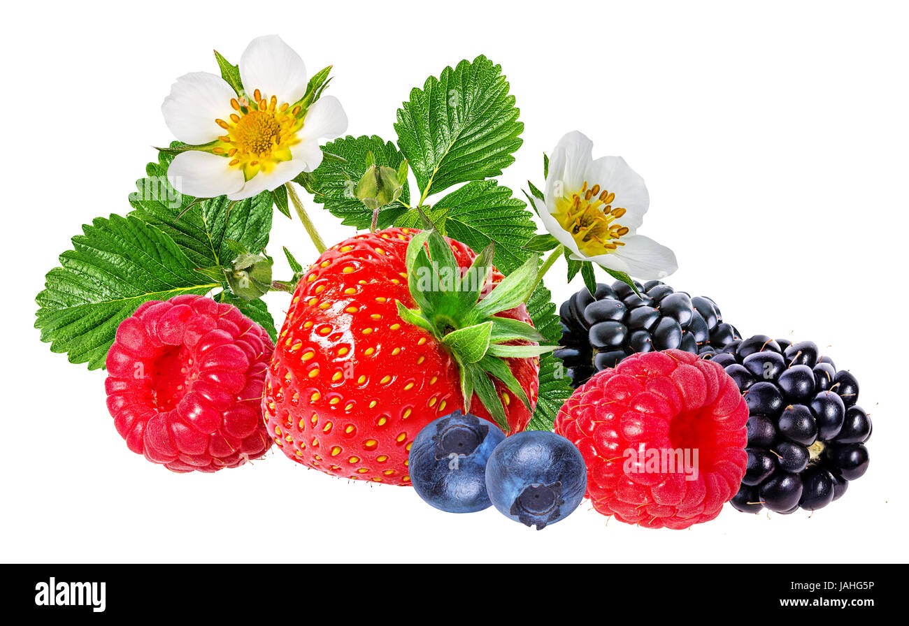 Fraise, framboise, myrtille, blackberry, les bleuets isolé sur fond ...