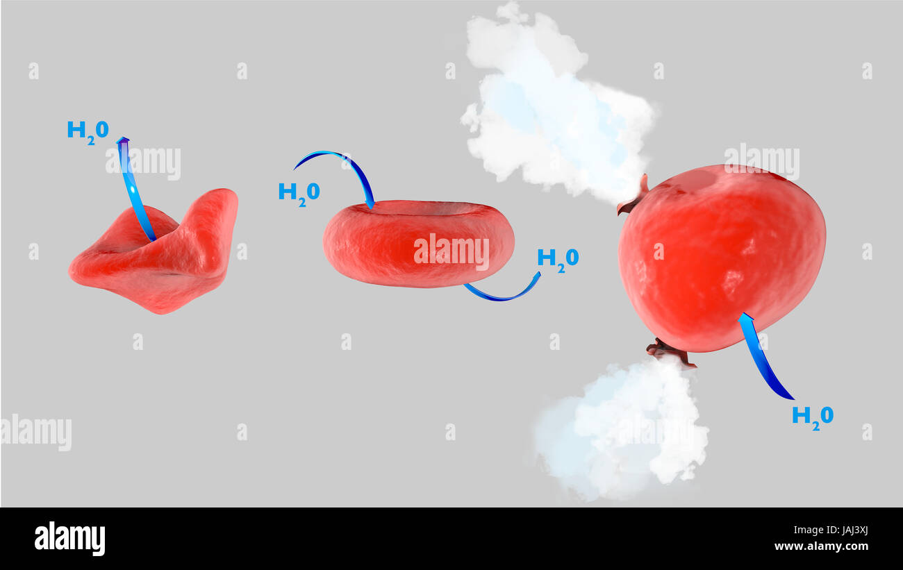Cellule en solution isotonique Banque de photographies et d’images à ...