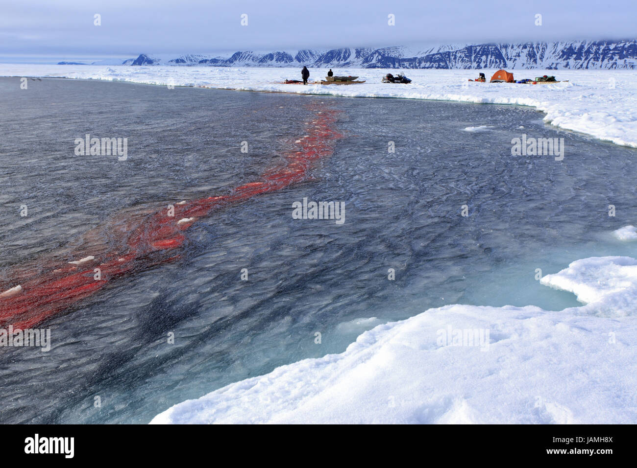 Inuit narwhal hunter Banque de photographies et d’images à haute ...