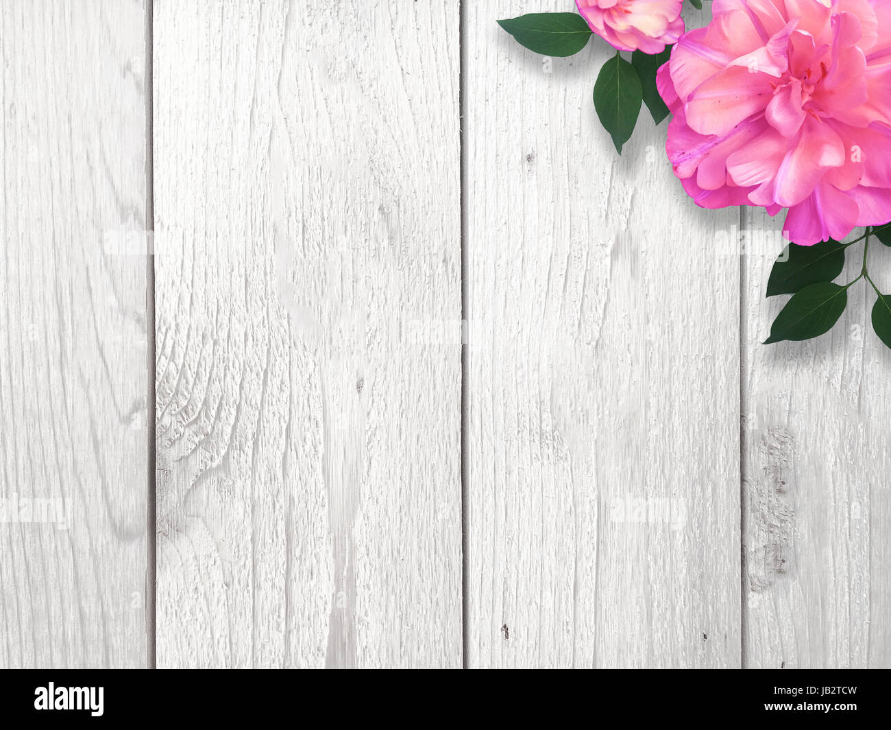 Corner flower frame Banque de photographies et d’images à haute ...