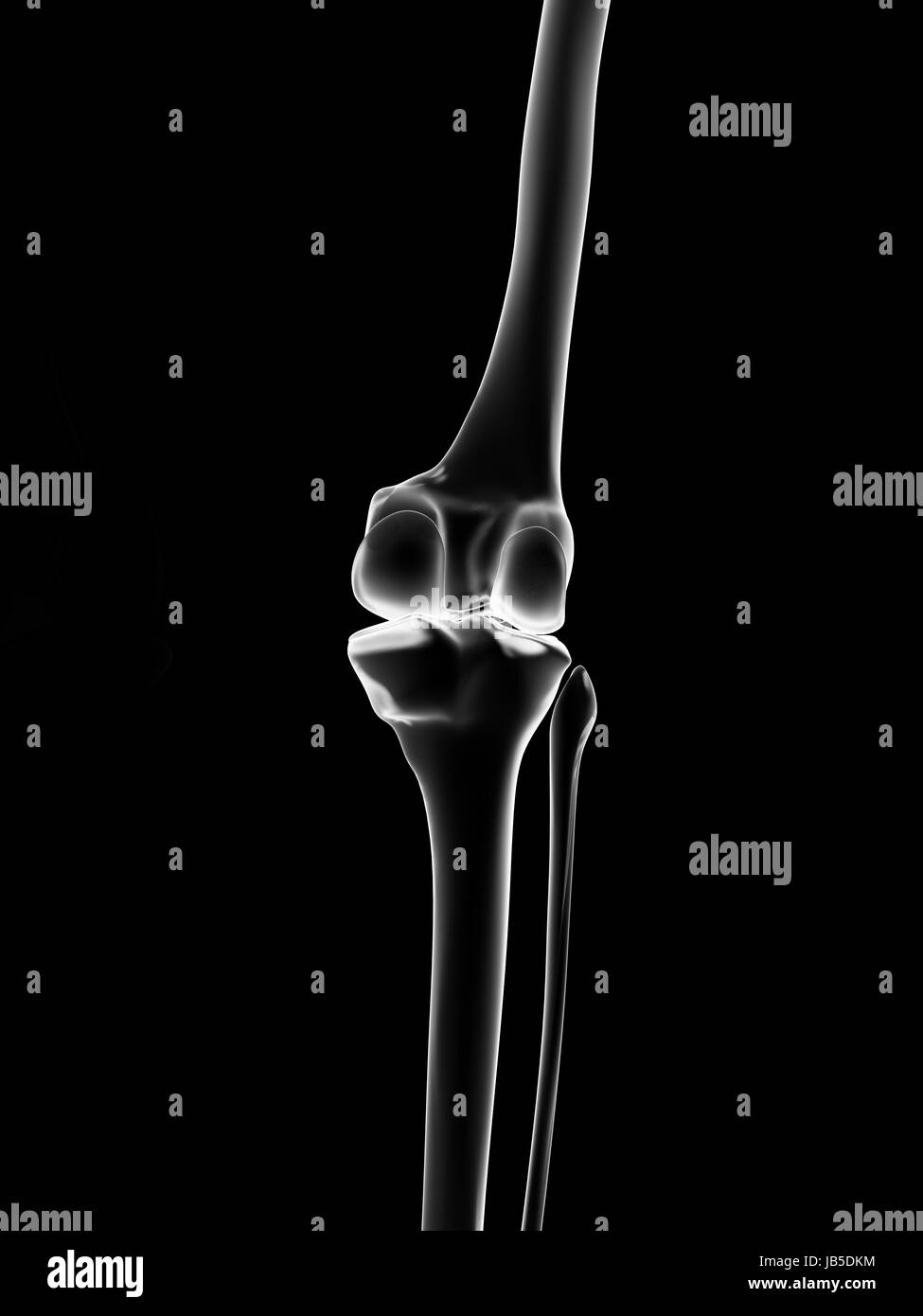 Rotule genoux Banque d'images noir et blanc - Alamy