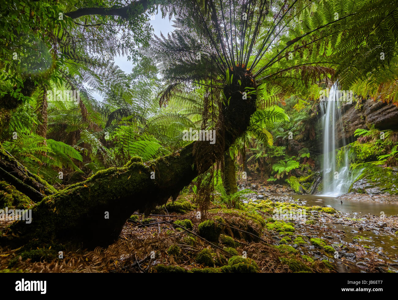 Mount field national park Banque de photographies et d’images à haute ...