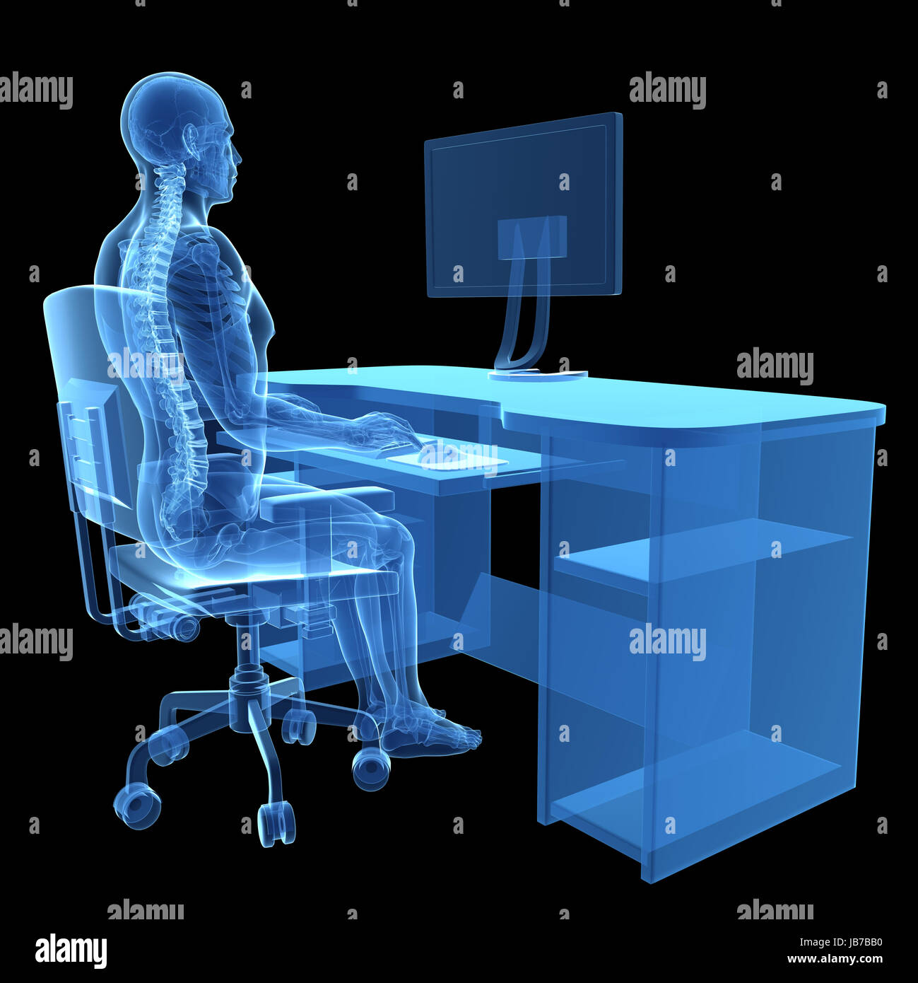 Squelette Assis Anatomy Banque d'image et photos - Alamy