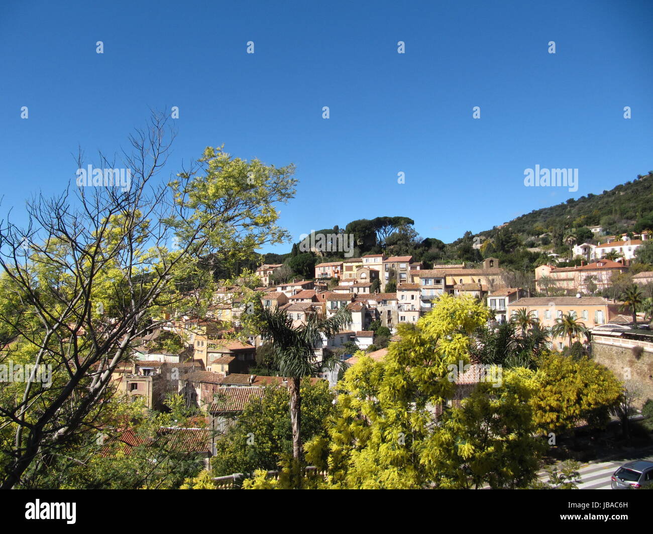 S'épanouir en plein essor Photo Stock - Alamy