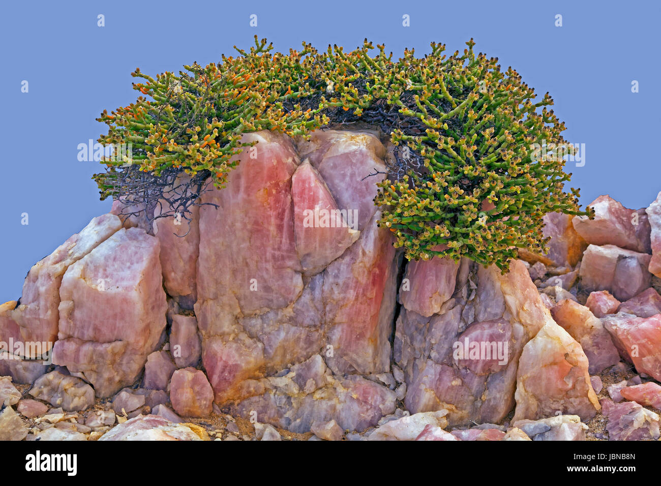 Dorob nationalpark Banque de photographies et d’images à haute ...