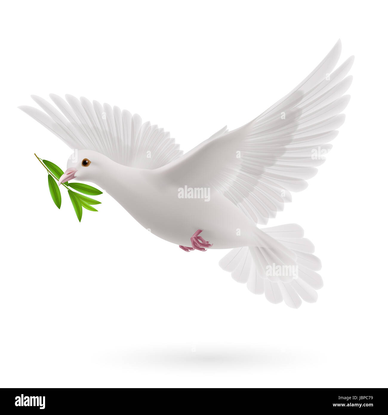 Noah Dove Photos & Noah Dove Images - Alamy