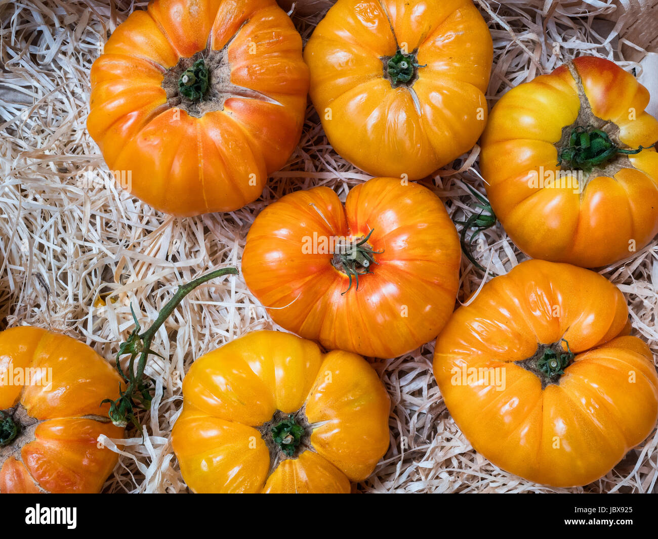 Tomate coeur de boeuf Banque de photographies et d’images à haute ...