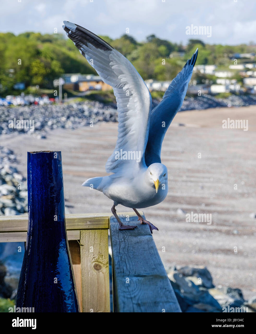 Lydstep beach Banque de photographies et d’images à haute résolution ...