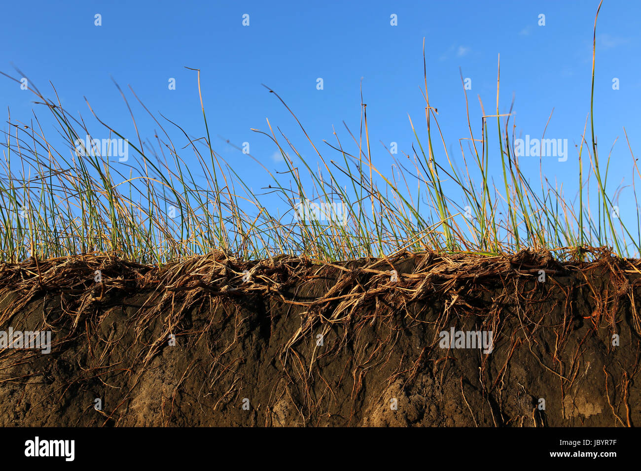 Soil erosion landscape Banque de photographies et d’images à haute ...