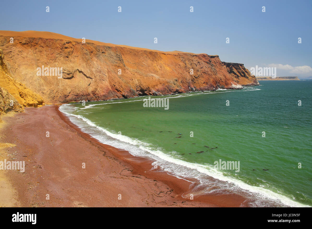Ecosistema de playa tropical Banque de photographies et d’images à ...