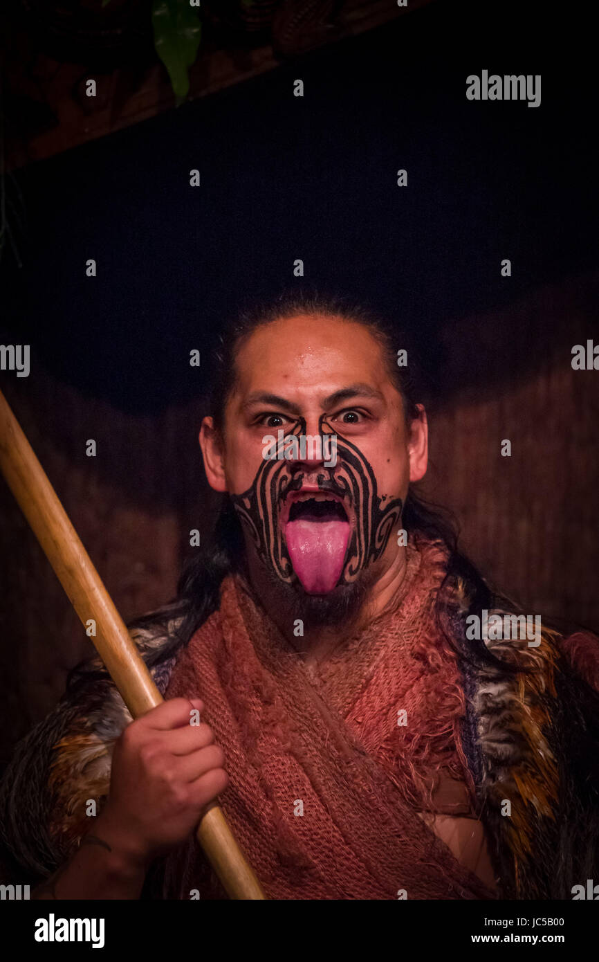 Maori warrior tongue sticking out Banque de photographies et d’images à ...