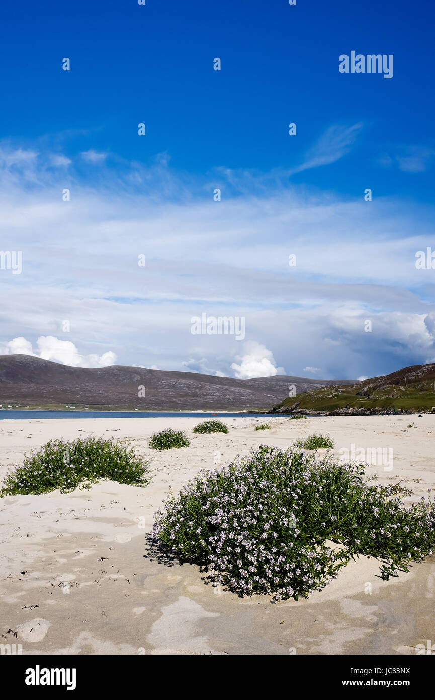 Scarista beach isle of harris en ecosse Banque de photographies et d ...